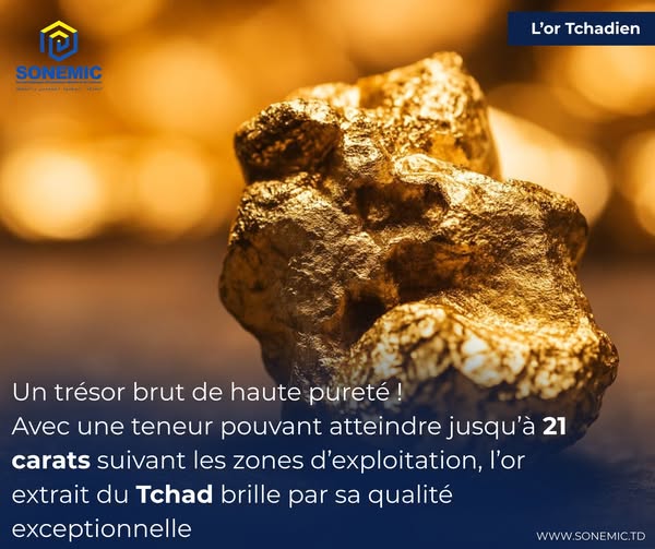 SONEMIC - National Mining Exploitation & Control Company | Chad